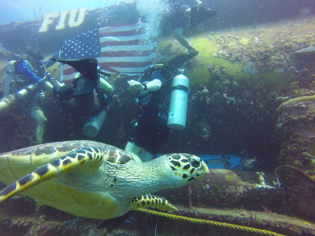 CSA Astronaut Jeremy Dives into NEEMO19 - Canadian Space Agency